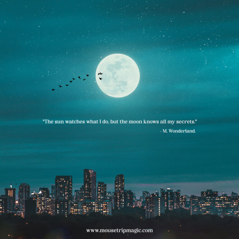 130+ Moon Captions & Quotes For Instagram